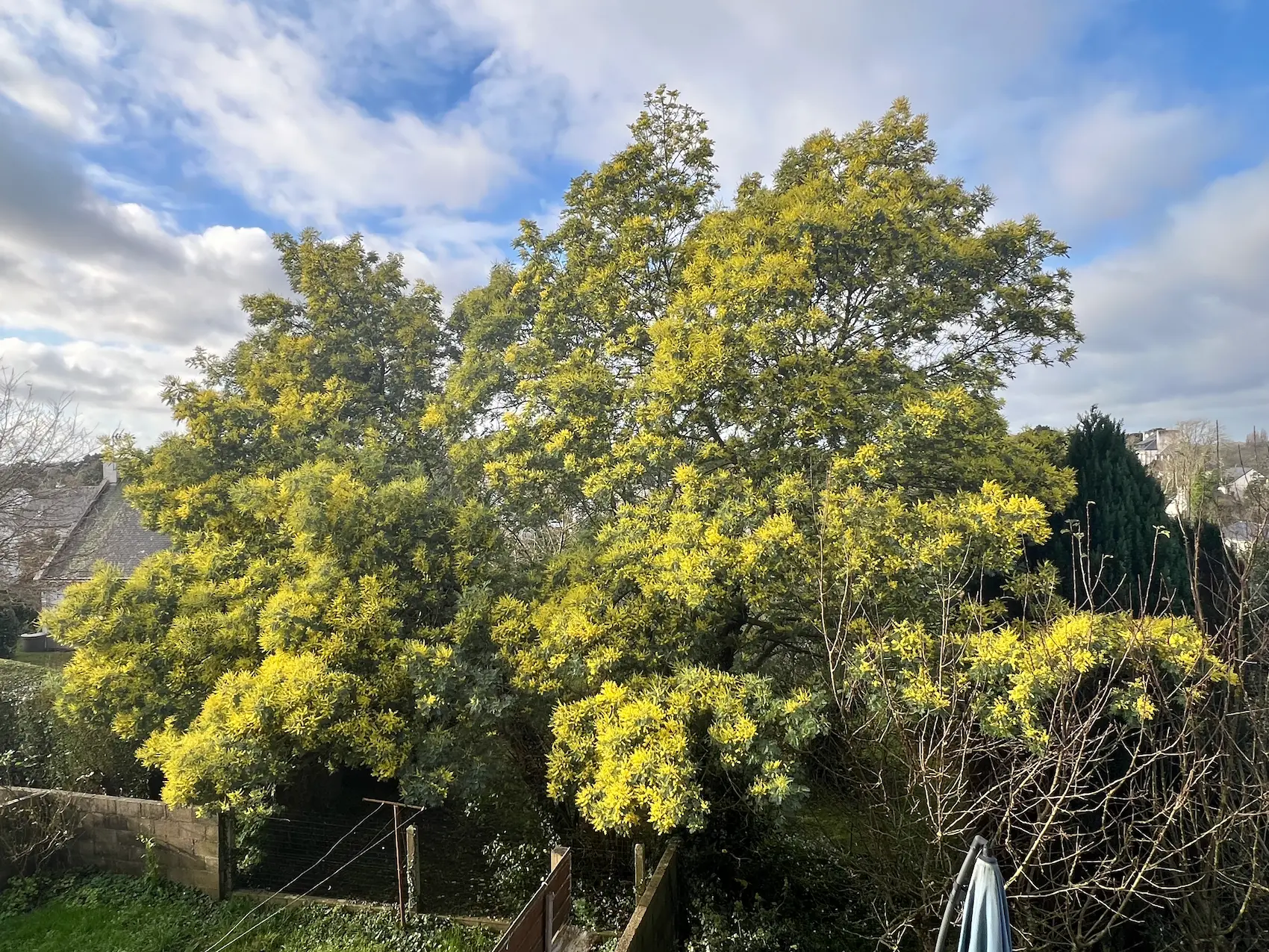 31 décembre 2024 - CRéAdeS
