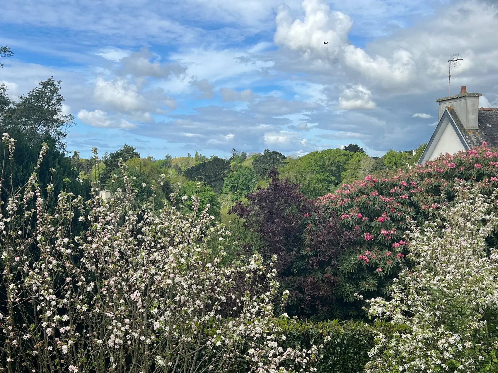 Mardi 22 avril 2025 - CRéAdeS